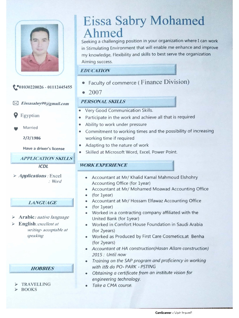 CV English | PDF