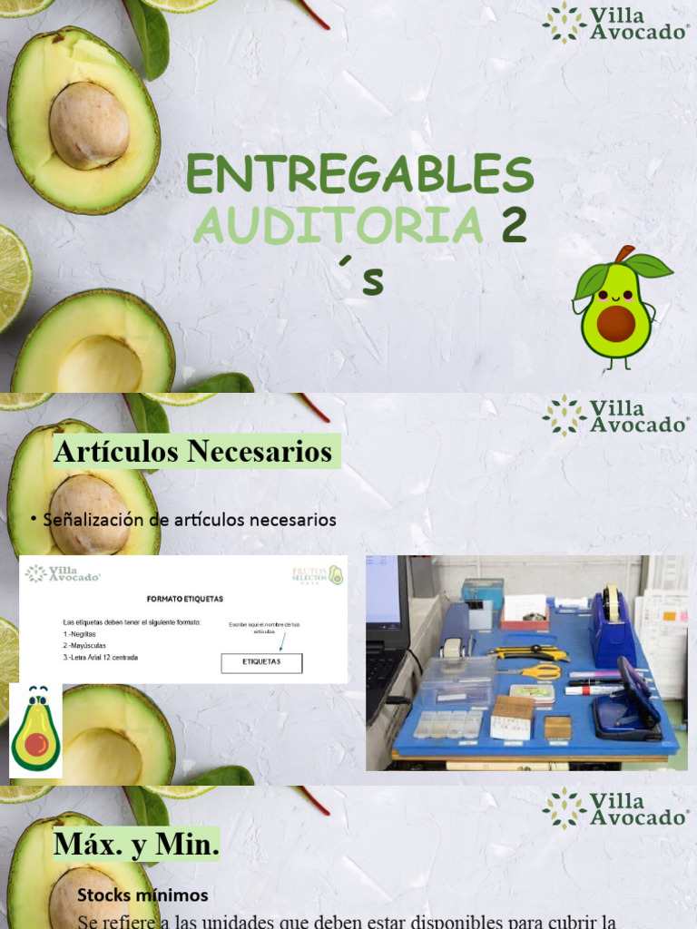 Auditoría de Stocks y Seguridad LUP | PDF