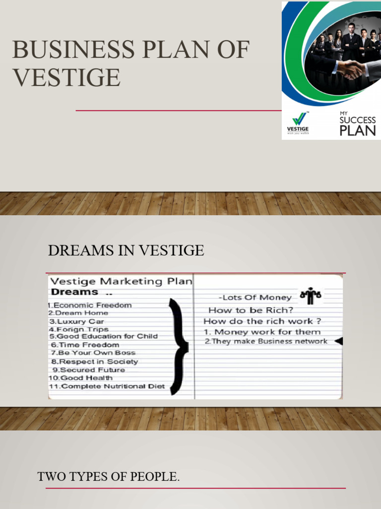 Vestige Business Plan Overview | PDF | Investing | Economies
