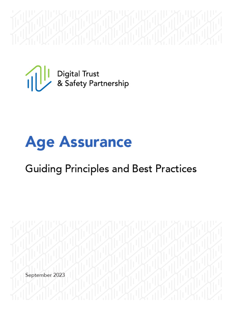 DTSP Age Assurance Best Practices | PDF | Privacy | Risk