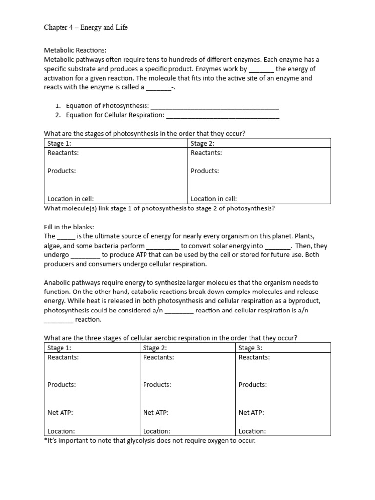 Ch4_Metabolic Reactions_In-class | PDF | Cellular Respiration | Metabolism