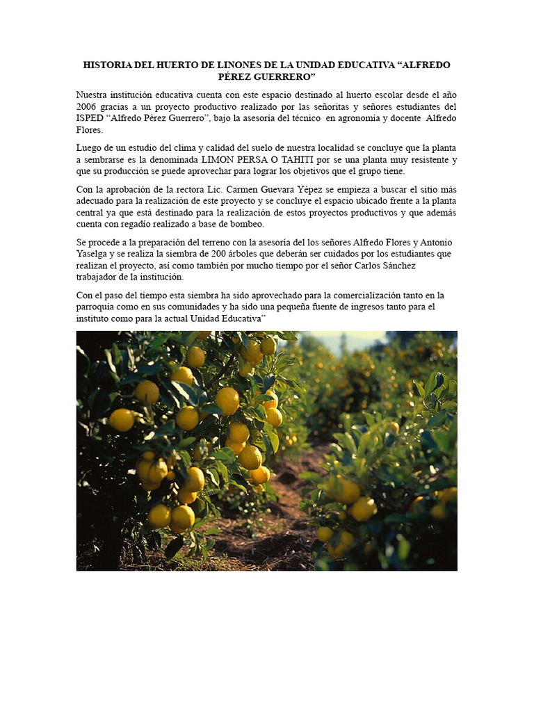 Historia Del Huerto de Linones de La Unidad Educativa Alfredo Perez ...