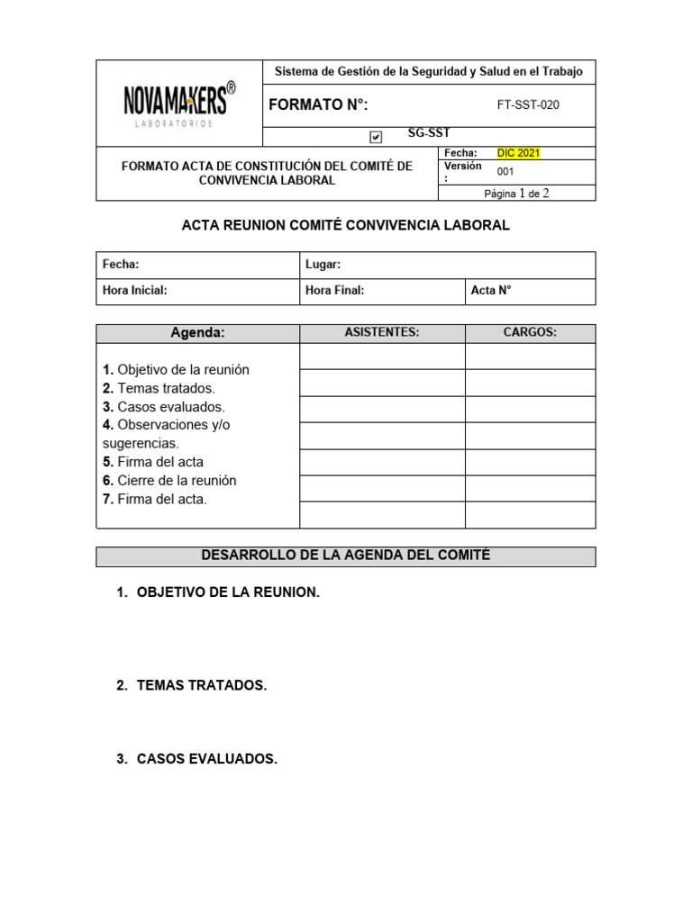 FT-SST-020 Acta de Constitución CCL | PDF | Negocios | Tecnología