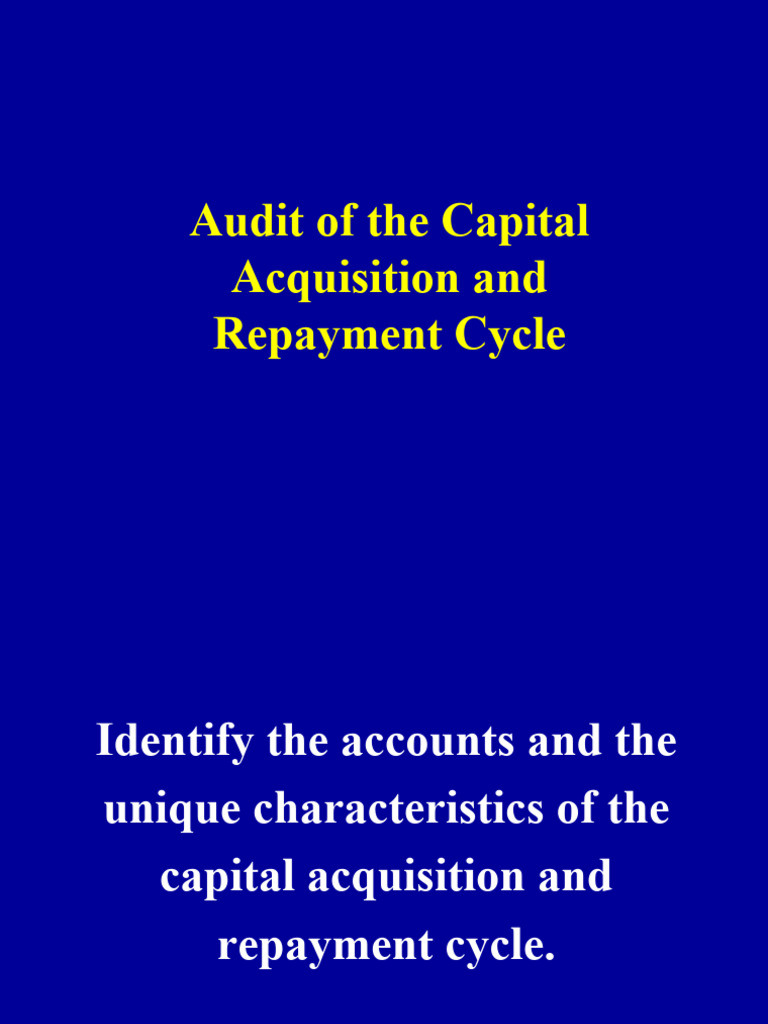 Audit Loan and Equity | PDF | Promissory Note | Equity (Finance)