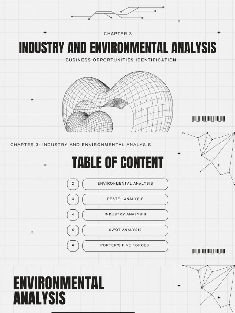 Industry and Environmental Analysis | PDF