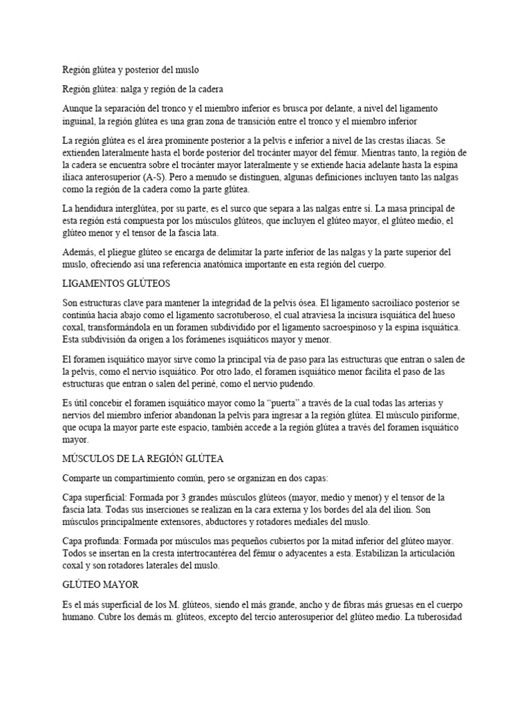 Anatomía de la Región Glútea y Muslos | PDF | Nalgas | Pelvis