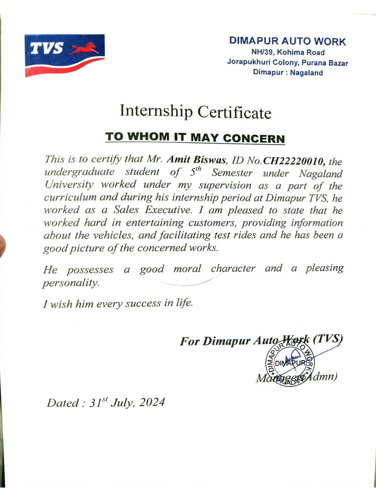 Amit Internship PDF | PDF