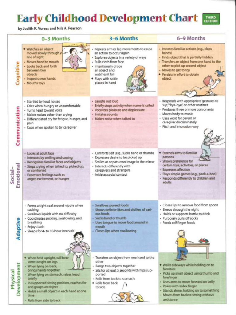 Developmental Chart | PDF