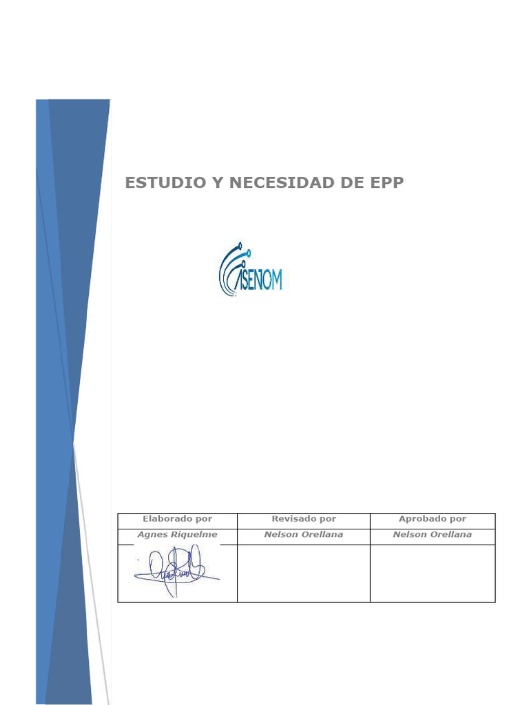 Estudio de EPP | PDF | Calidad (comercial) | Business