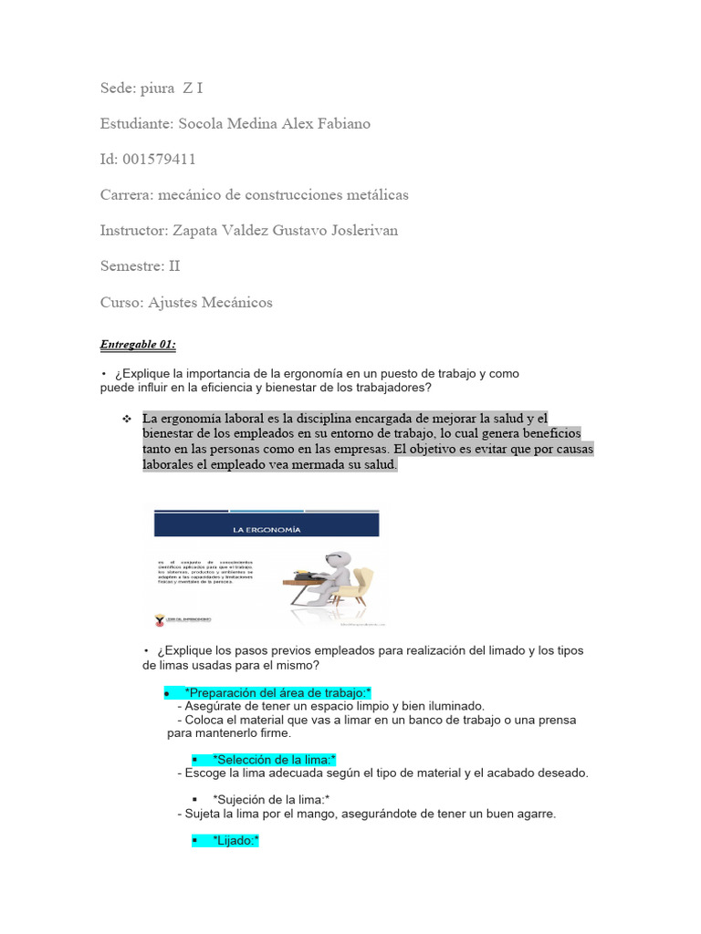 Entregable 01 (Ajuste Mecanico) - 1 | PDF | Factores humanos y ergonomía