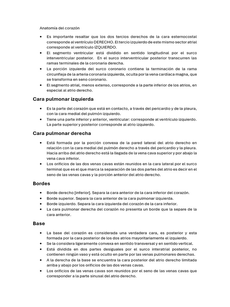 Anatomía del Corazón Humano | PDF | Corazón | Ventrículo (corazón)
