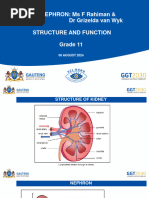 Life Science Grade 11 Term 3 Notes | PDF | Kidney | Urine