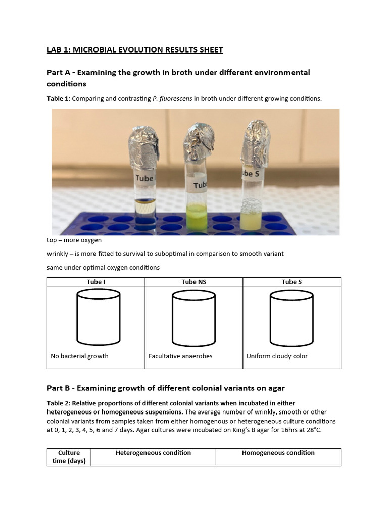 Lab 1 | PDF | Biofilm | Statistics