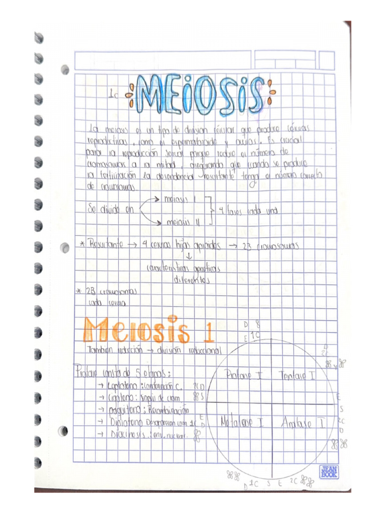 Documentos Escaneados 2 | PDF