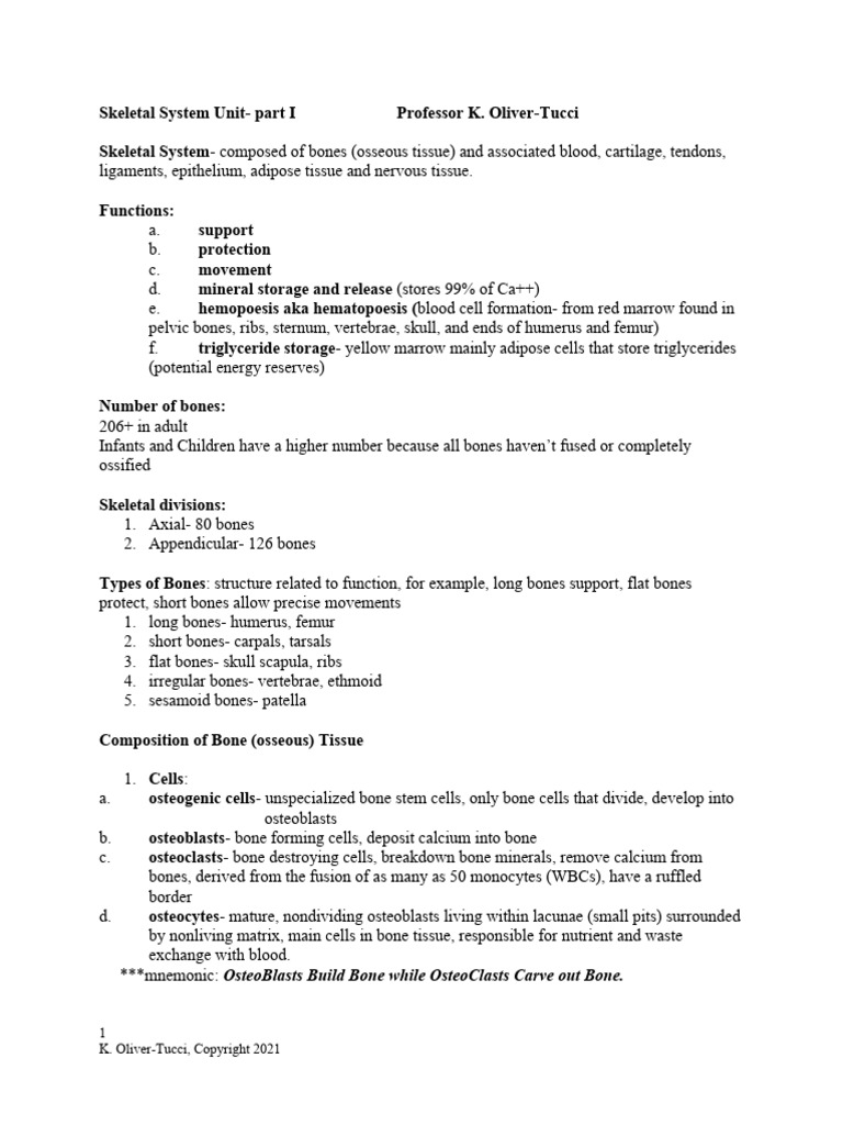 Skeletal System Unit-part-1 | PDF | Bone | Osteoblast