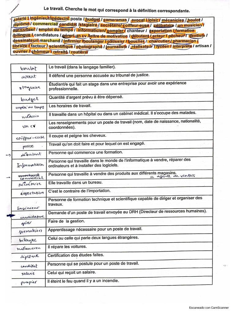 Le Travail - Vocabulaire | PDF