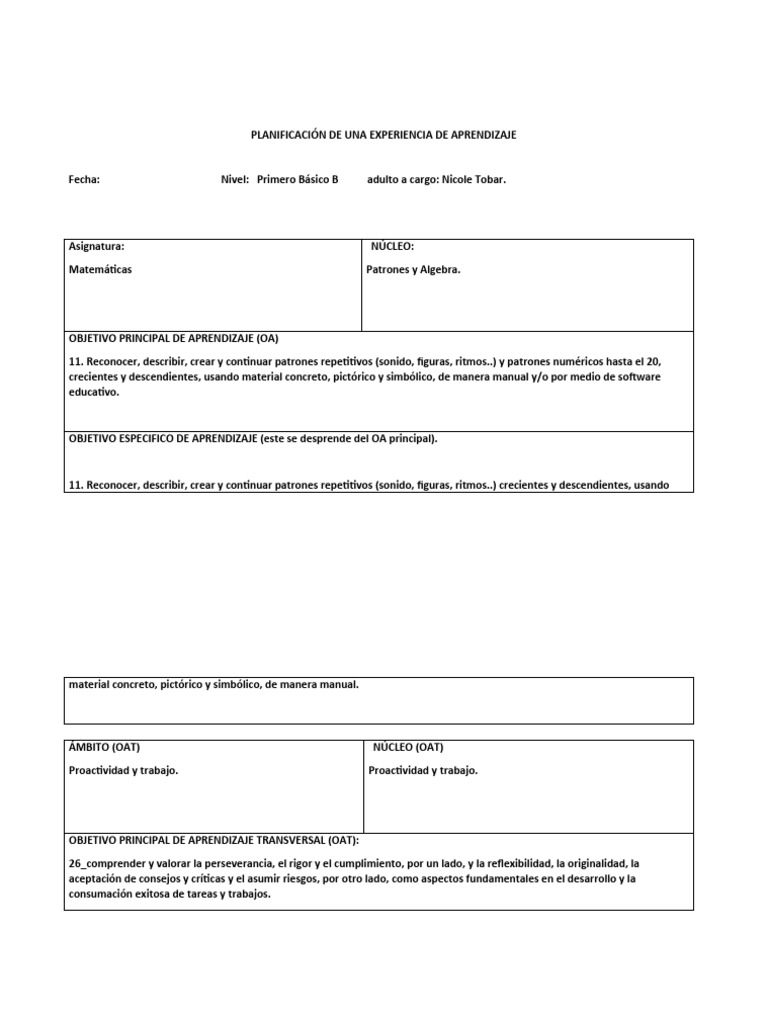Plani Profe Naty | PDF | Aprendizaje | Evaluación