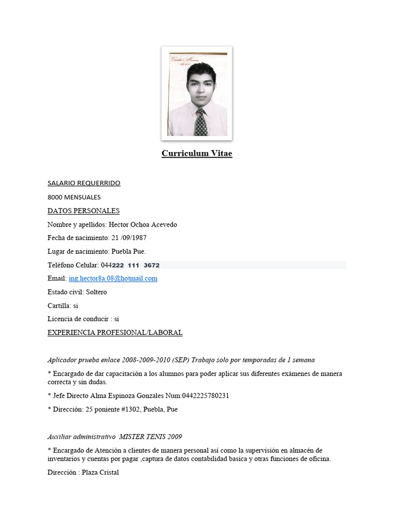 Curriculum Hector 8a Puebla | PDF | Contabilidad | Informática