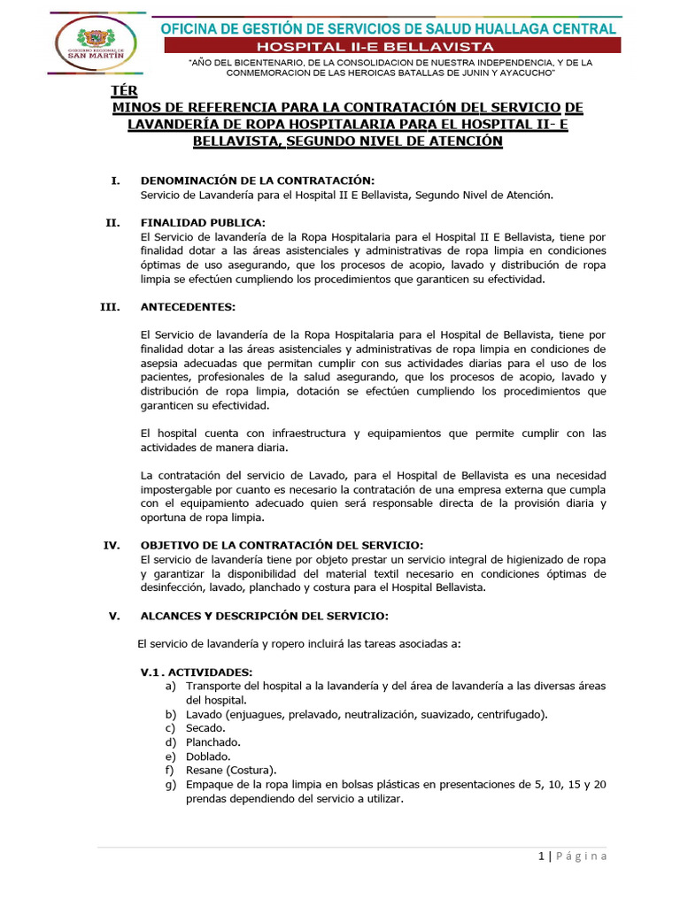 TDR Ok - Lavanderia Proceso 2024. | PDF | Hospital | Business