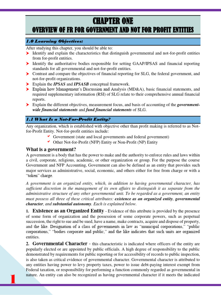 Chapter One: Overview of FR For Government and Not For Profit Entities | PDF | Financial ...