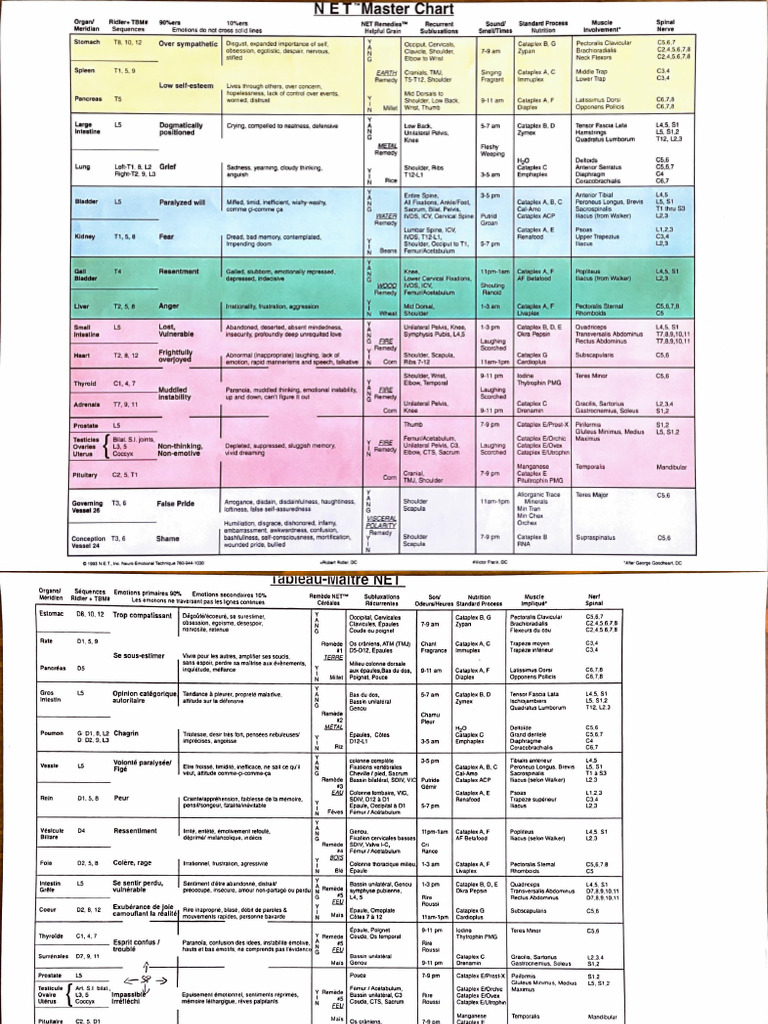 Master Chart English + French | PDF | Joints | Lower Limb Anatomy