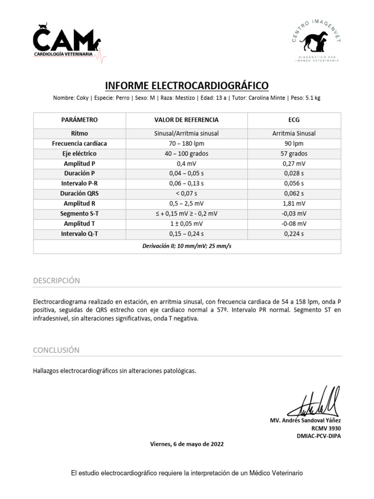 Informe ECG de Perro: Análisis Veterinario | PDF | Electrocardiografia ...
