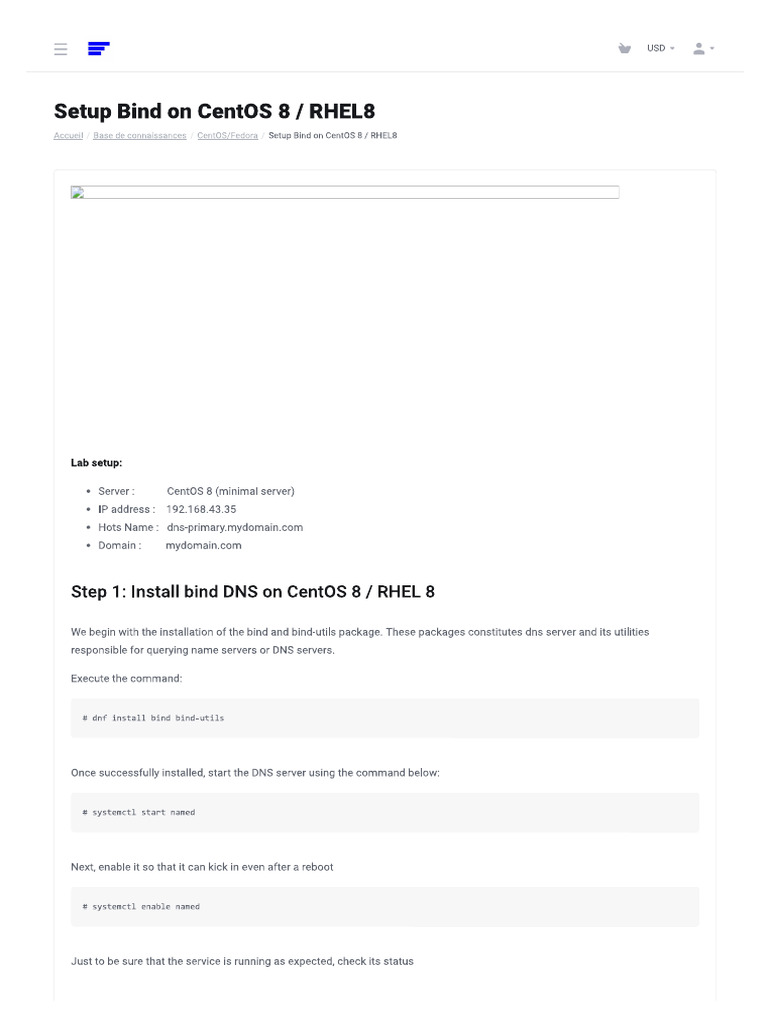 Setup Bind on RHEL8 | PDF
