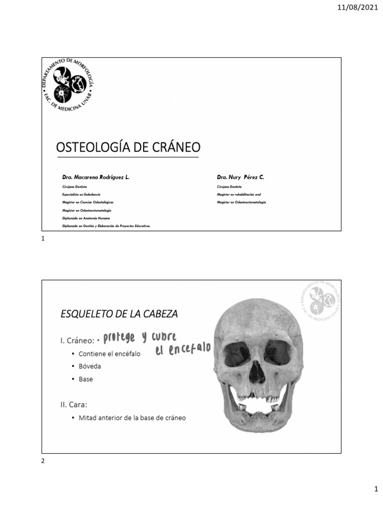 Fositas Granulares en el Cráneo | PDF | Cabeza y cuello humanos ...