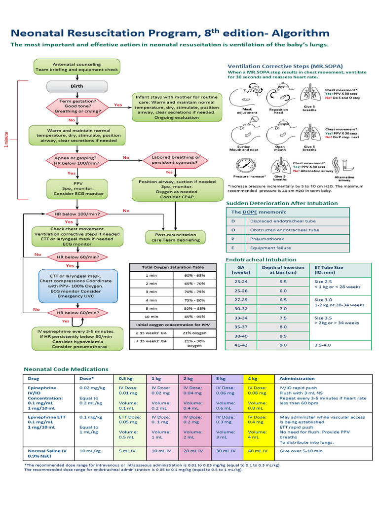 Neonatal Resuscitation NRP 8th Algorithm | PDF | Cardiopulmonary ... Neonatal Resuscitation NRP 8th Algorithm | PDF | Cardiopulmonary ...