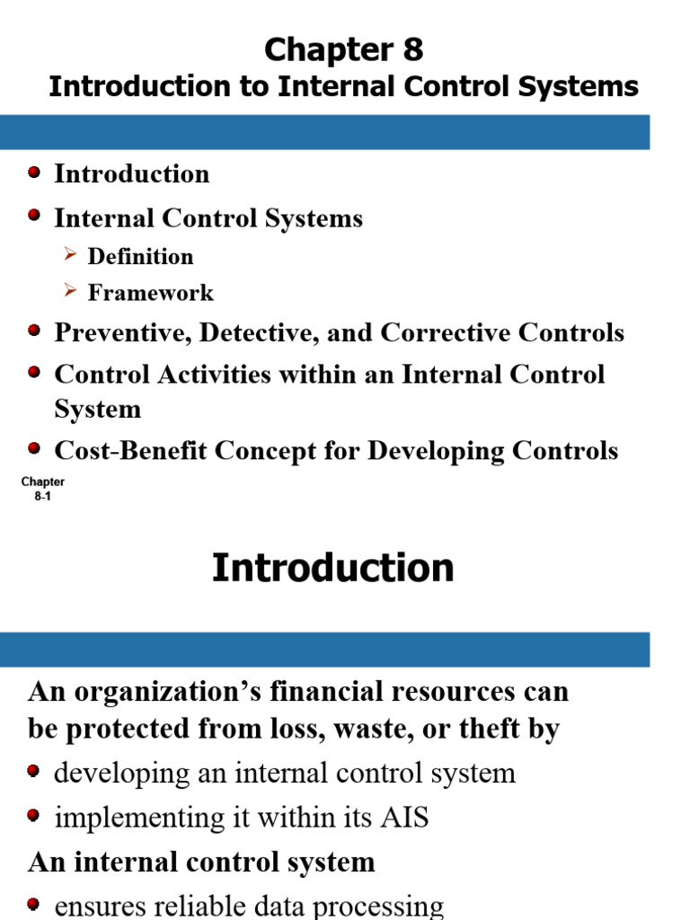 ch08 (1) | PDF | Internal Control | Risk