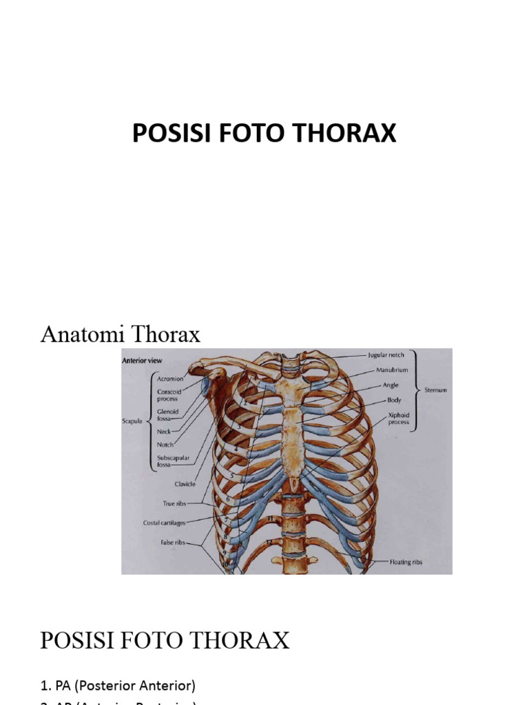 Posisi Foto Thorax & BOF | PDF