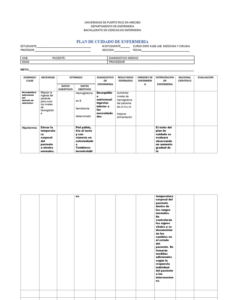 Formato Plan de Cuidado de Enfermería | PDF | Enfermería | Ciencias de ...