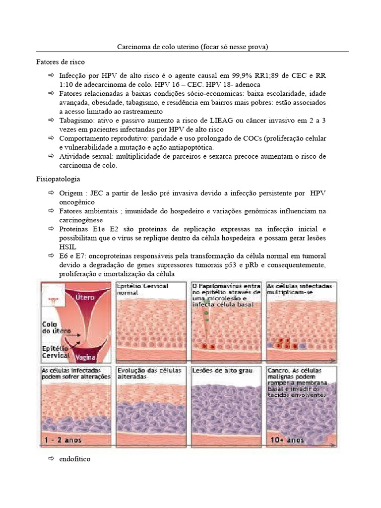 Carcinoma de Colo Uterino e Fatores de Risco | PDF | Câncer | Gravidez