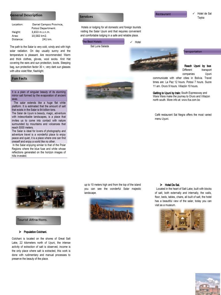 1 Salar | PDF | Earth Sciences