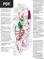 Anatomie2an-Systeme Porte | PDF | Foie | Pancréas