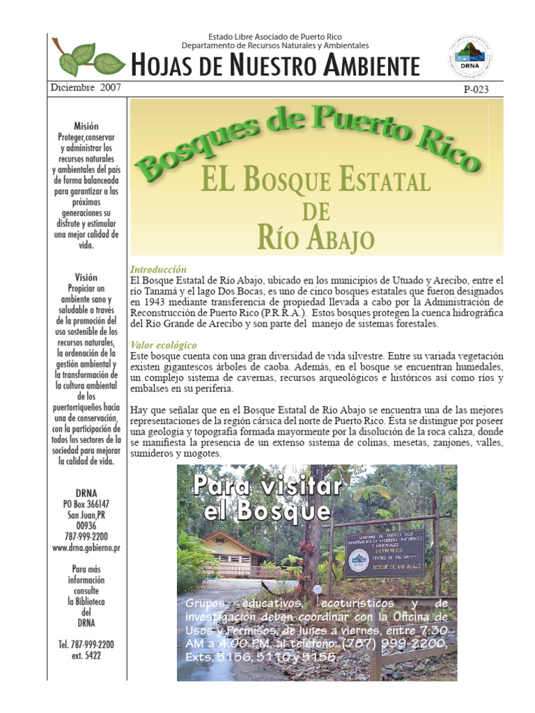 Bosque Estatal de Río Abajo: Ecología y Uso | PDF | Los bosques ...