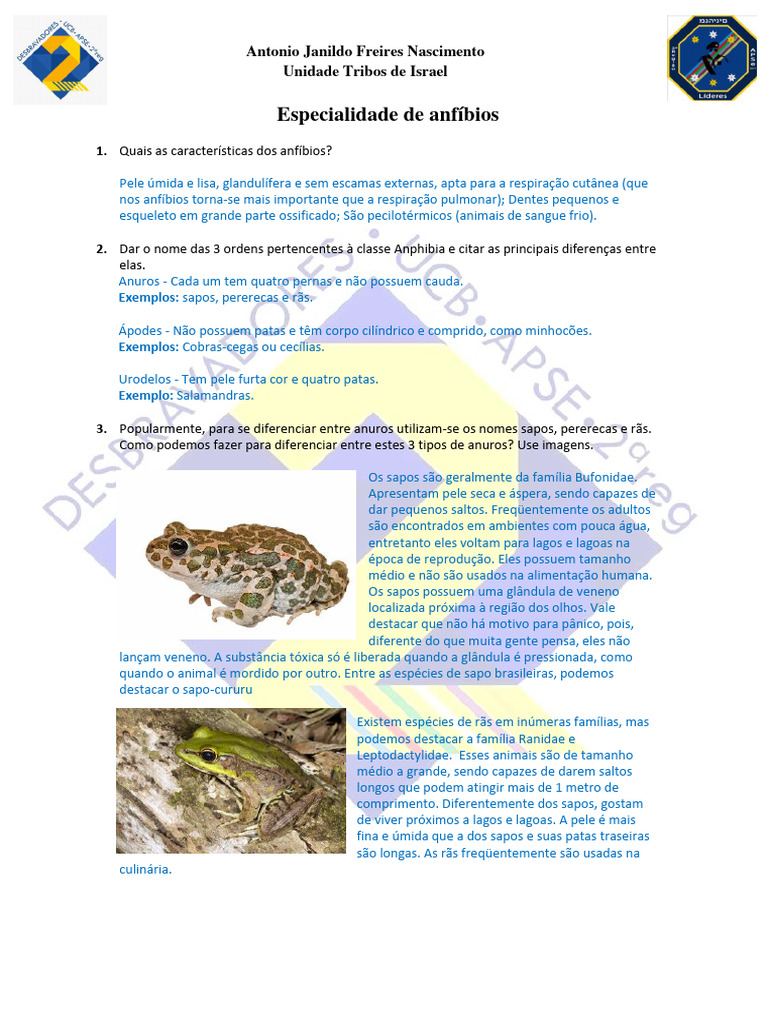 Anfíbios | PDF | Sapo | Anfíbio