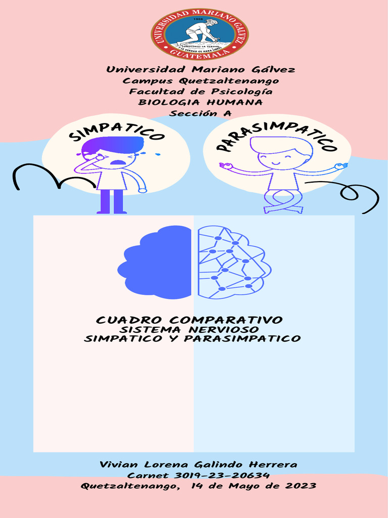 CUADRO COMPARATIVO SN SIMPATICO Y PARASIMPATICO | PDF | Corazón ...