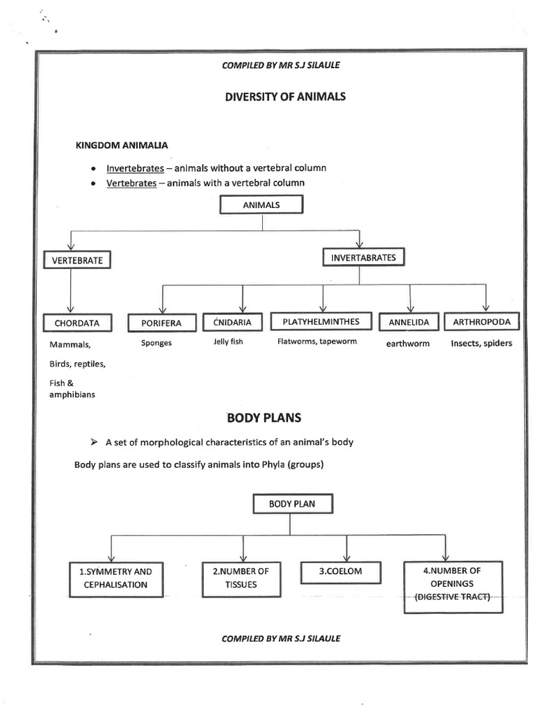 Biodiversity of Animals Notes-2 | PDF