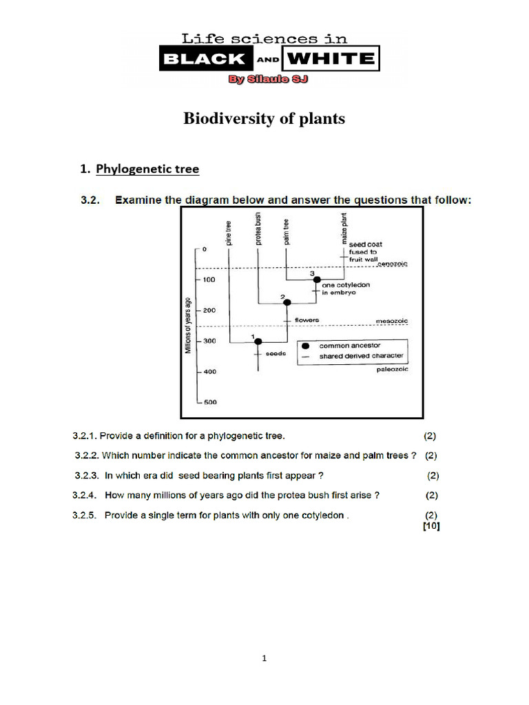 Biodiversity of Plants Activities 2021 QUESTIONS | PDF