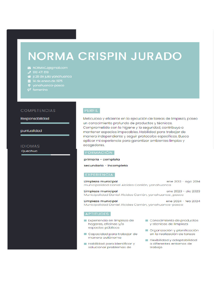 Norma CV | PDF