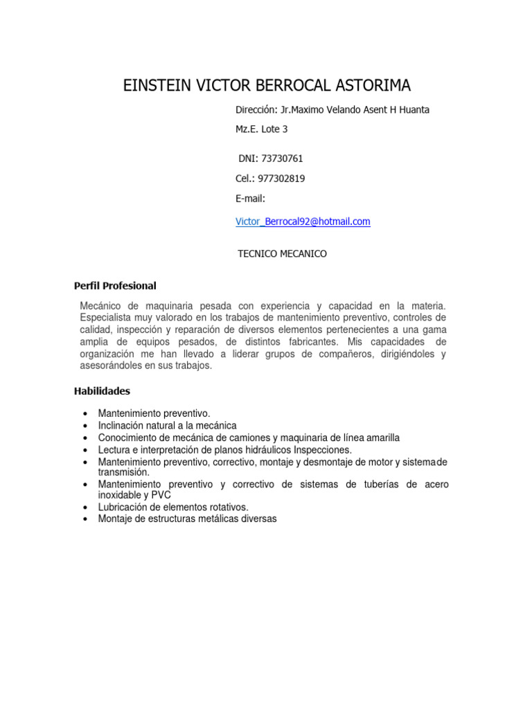 CV Einstein Victor Astorima Berrocal | PDF | Ingeniería | Ingeniería ...