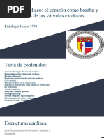 Importancia de la Contractilidad Cardíaca | PDF | Corazón | Músculo