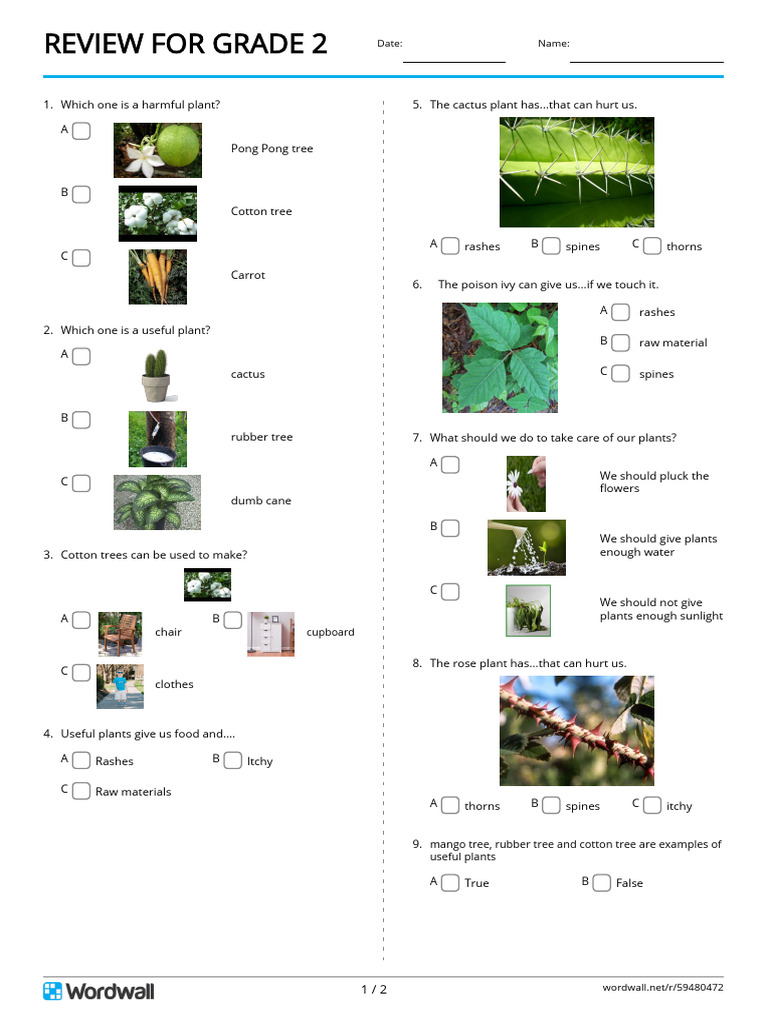 Grade 2 Quiz on Plants, Animals, and Air | PDF