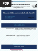 Maniobras de Asistencia Al Parto | PDF | Pelvis | Parto
