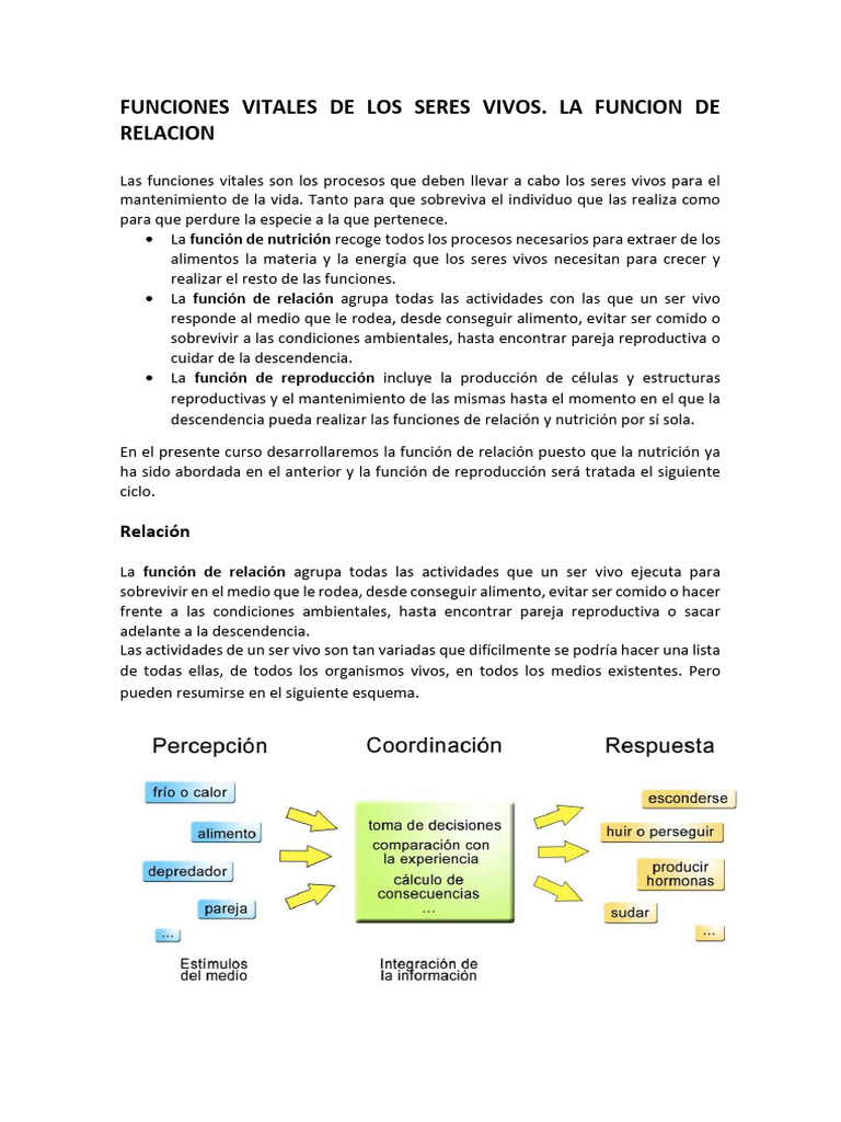 7 Funcion de Relación Inicio | PDF | Plantas | Biología