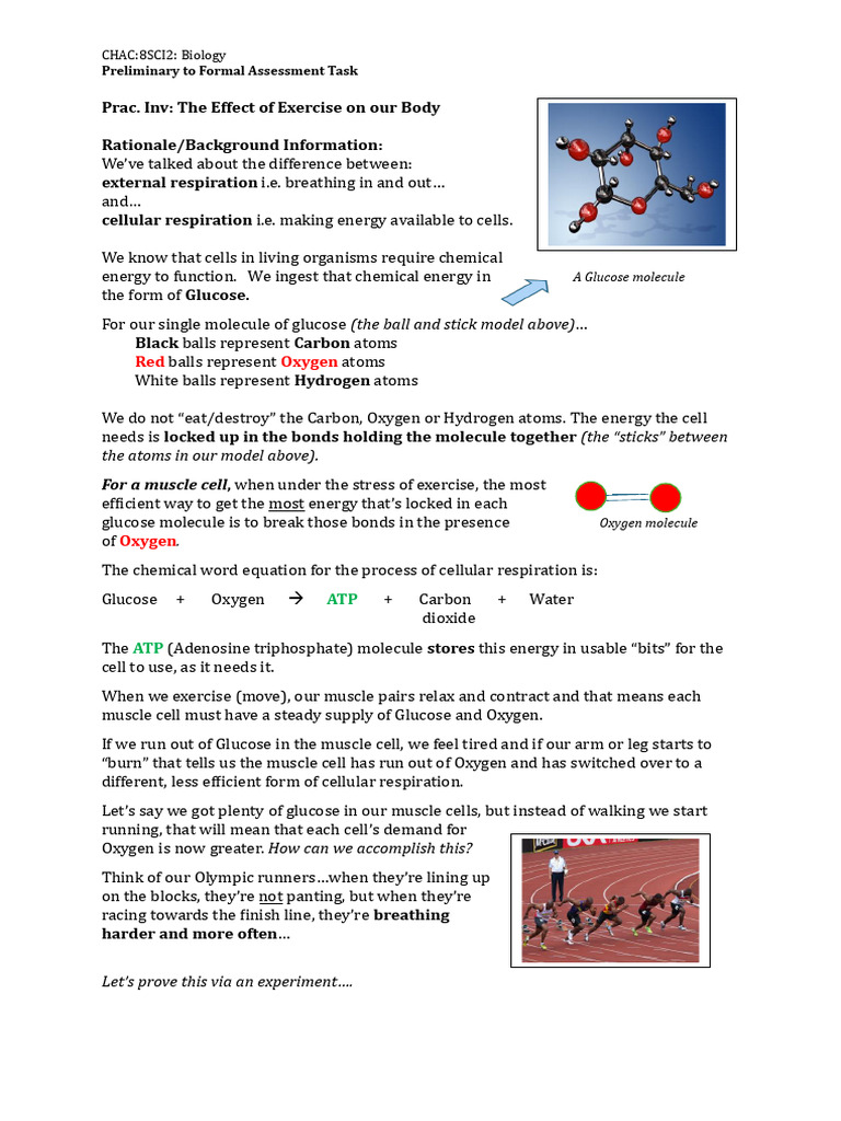 Preliminary Pracs Changing Air N Muscles Get Tired | PDF | Cellular ...