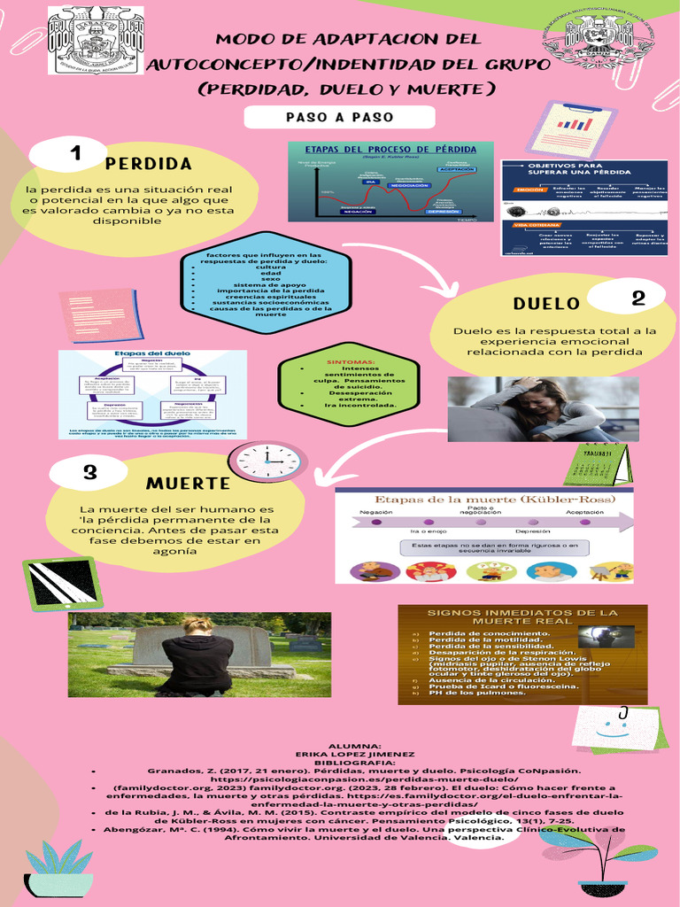 Infografia Perdida Dolor y Muerte | PDF | Dolor | Muerte
