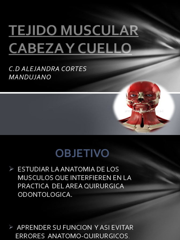 Tejido Muscular Cabeza y Cuello | PDF | Músculo | Histología