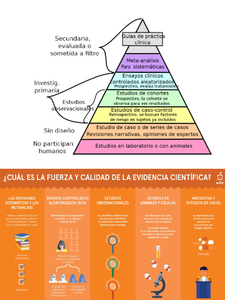 Piramide Evidencia Cientifica | PDF | Relaciones personales, crianza y desarrollo personal